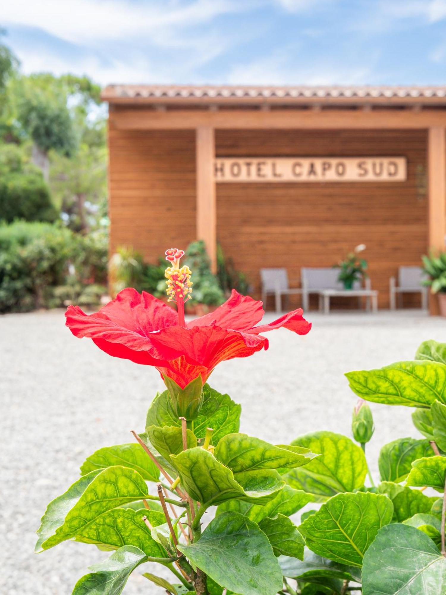 Hotel Capo Sud Lacona, Italy - book now, 2026 prices